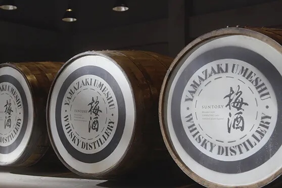 開箱高價「山崎蒸溜所儲藏梅酒 Extra Blend」60週年紀念限定 | 一飲樂酒誌